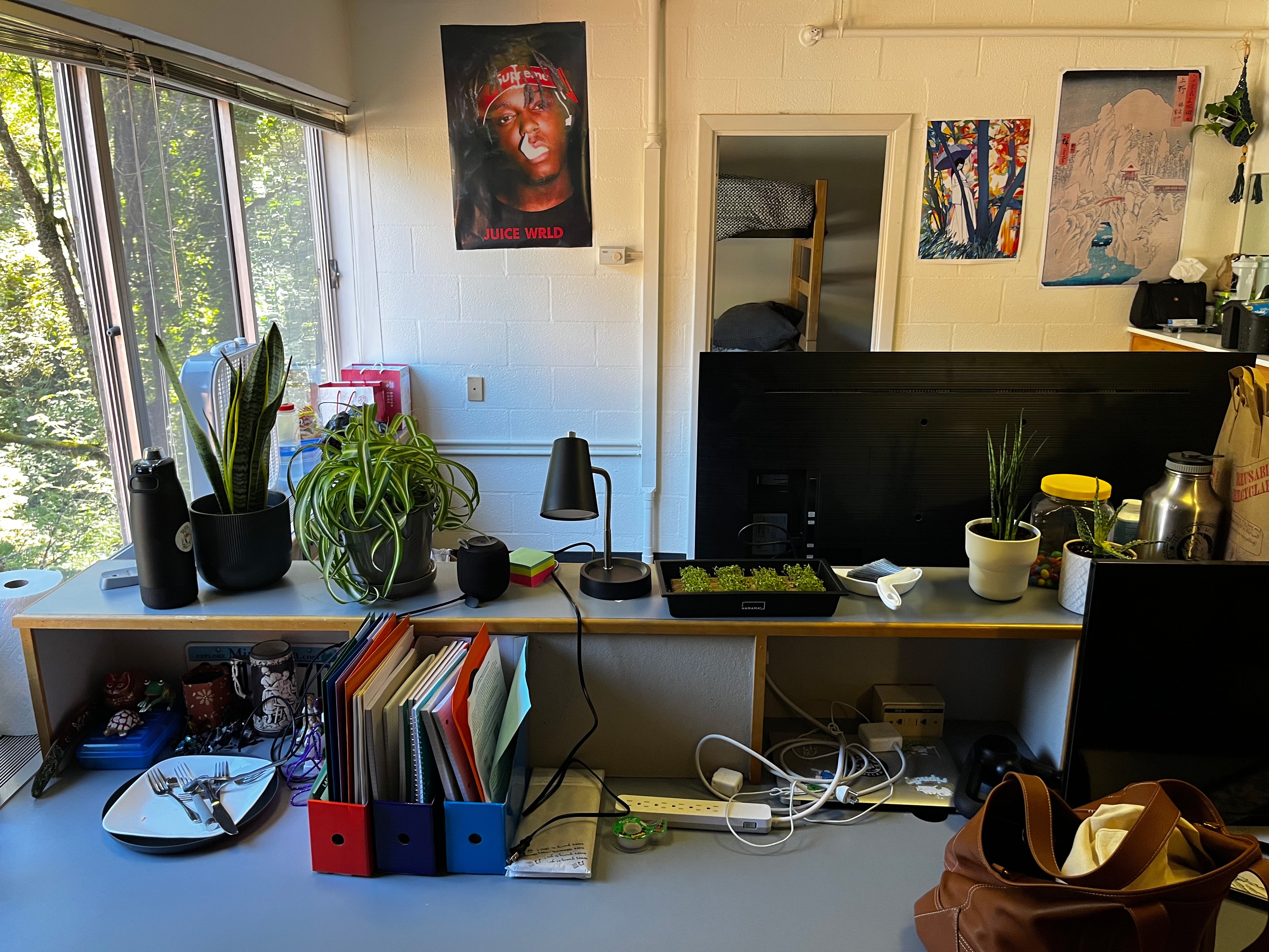 The REAL College Checklist – Murchison-Hume USA