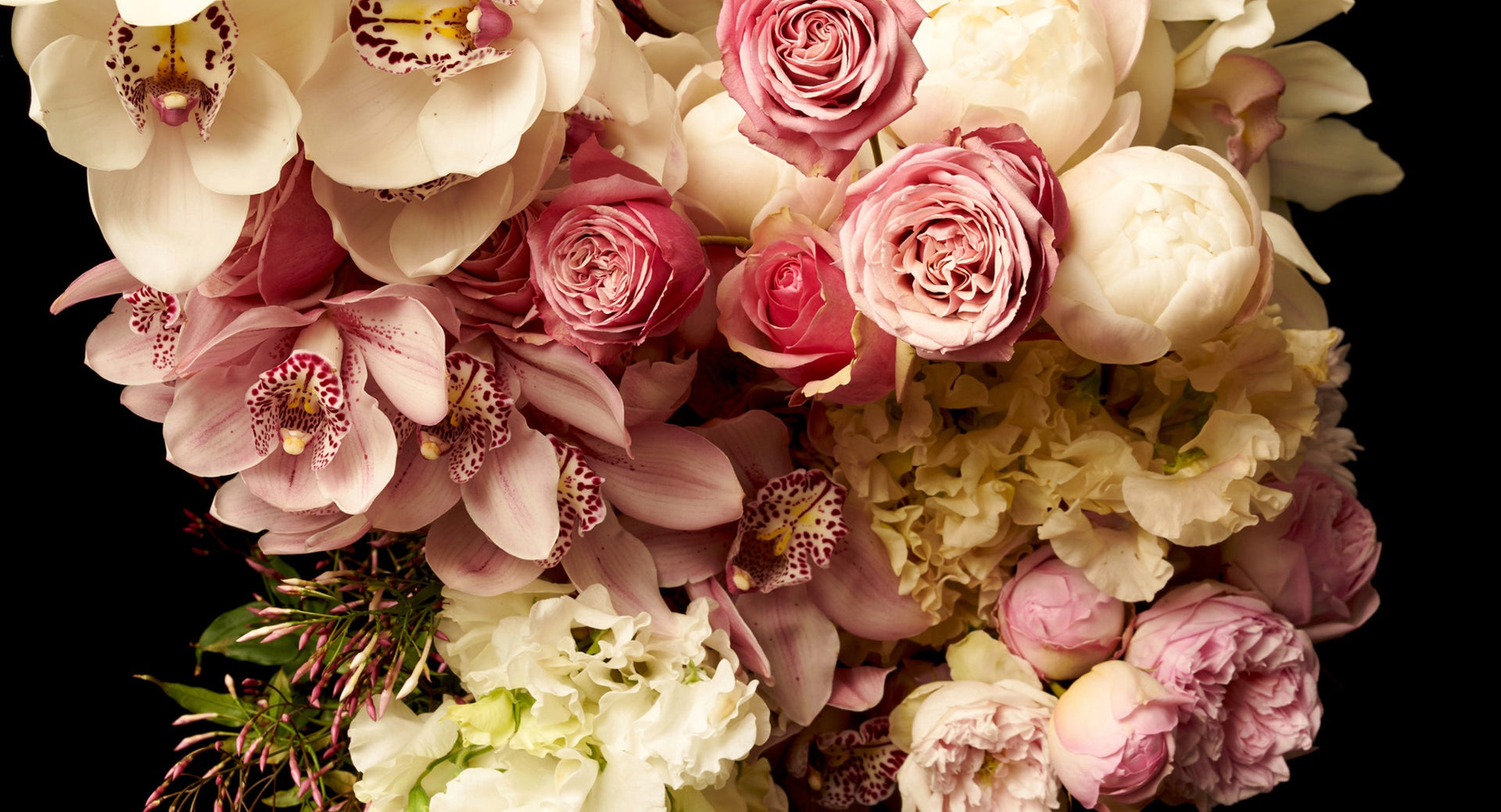 Murchison-Hume | Plant-based cleaning made easy + beautiful – Murchison ...